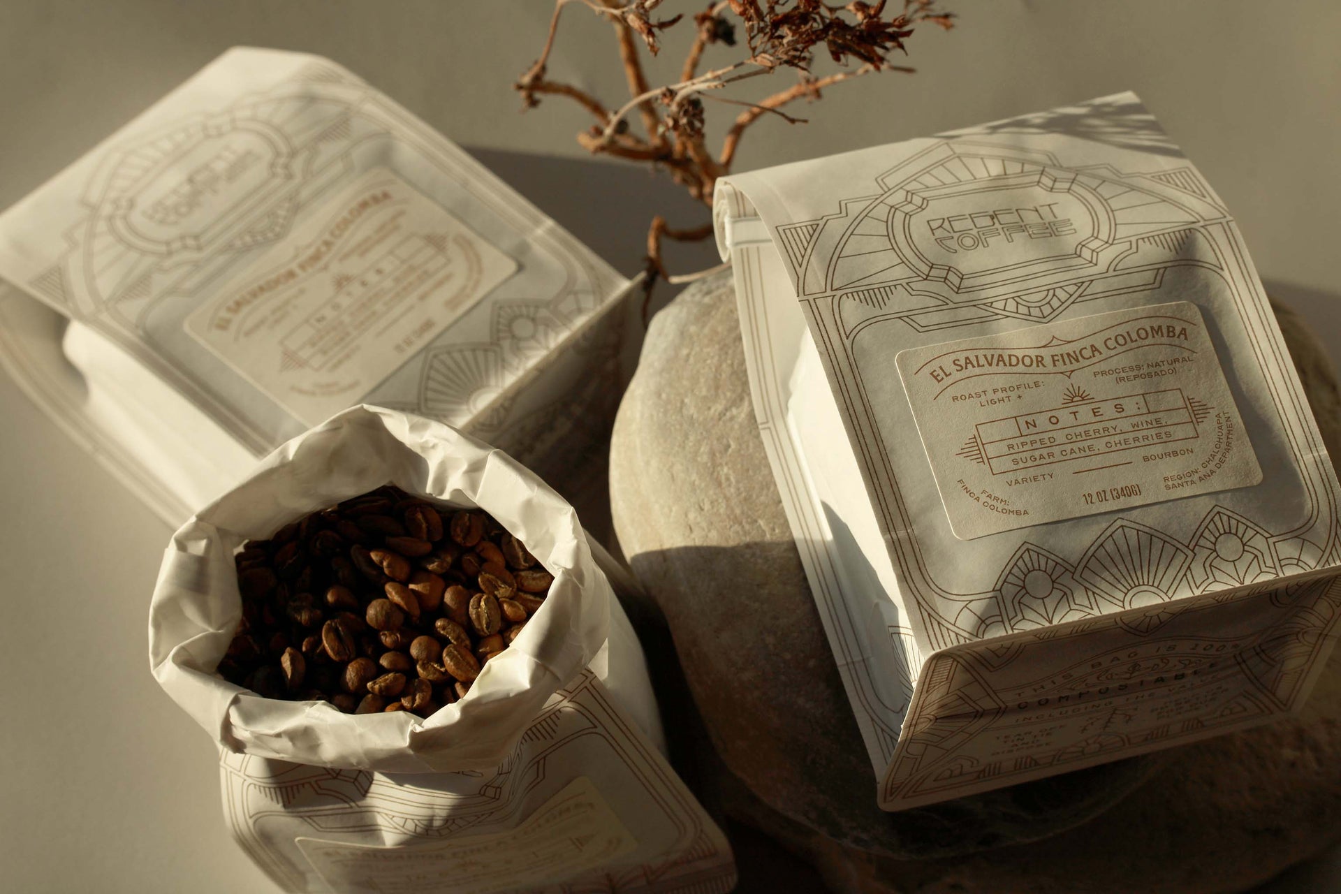 Regent Coffee | Your Local Coffee Roaster