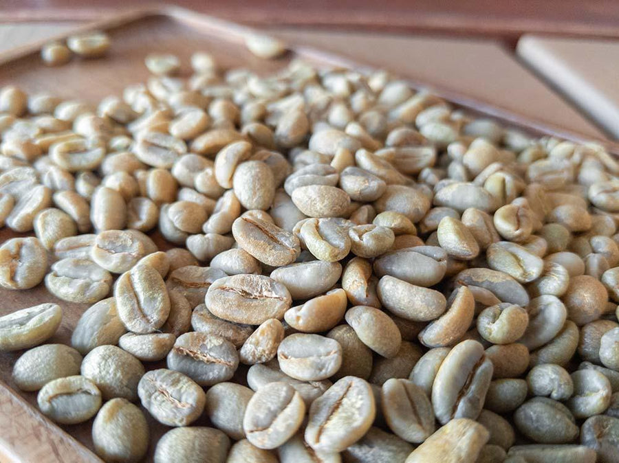 Ethiopia Natural Guji Whole Beans | Regent Coffee